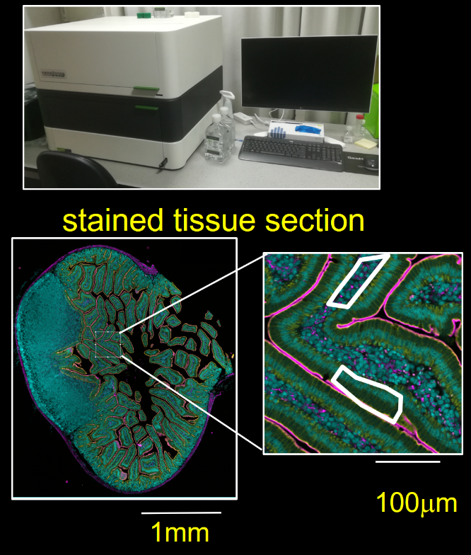 Molecular and Cellular Imaging Core – Centre for Systems Medicine