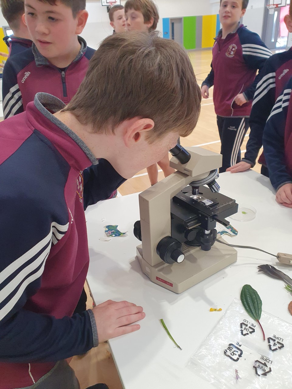 Science week 2022 – Centre for Systems Medicine